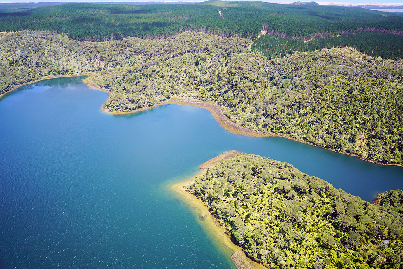 Lake Rototoa – Te Rau Pūriri
