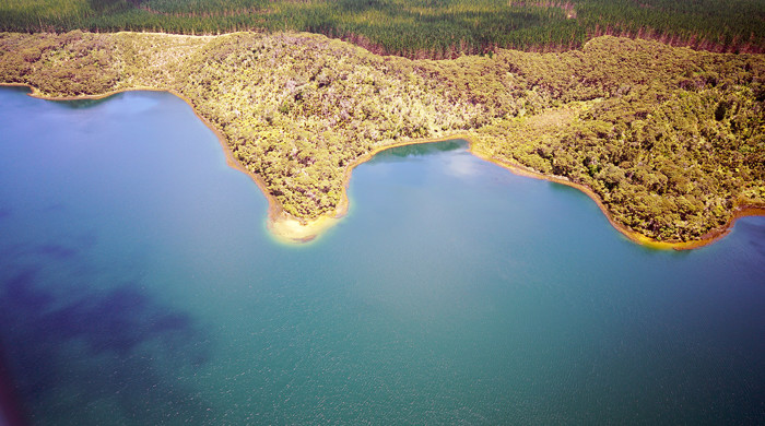 Lake Rototoa – Te Rau Pūriri