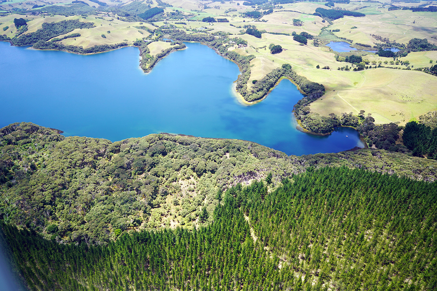 Lake Rototoa – Te Rau Pūriri
